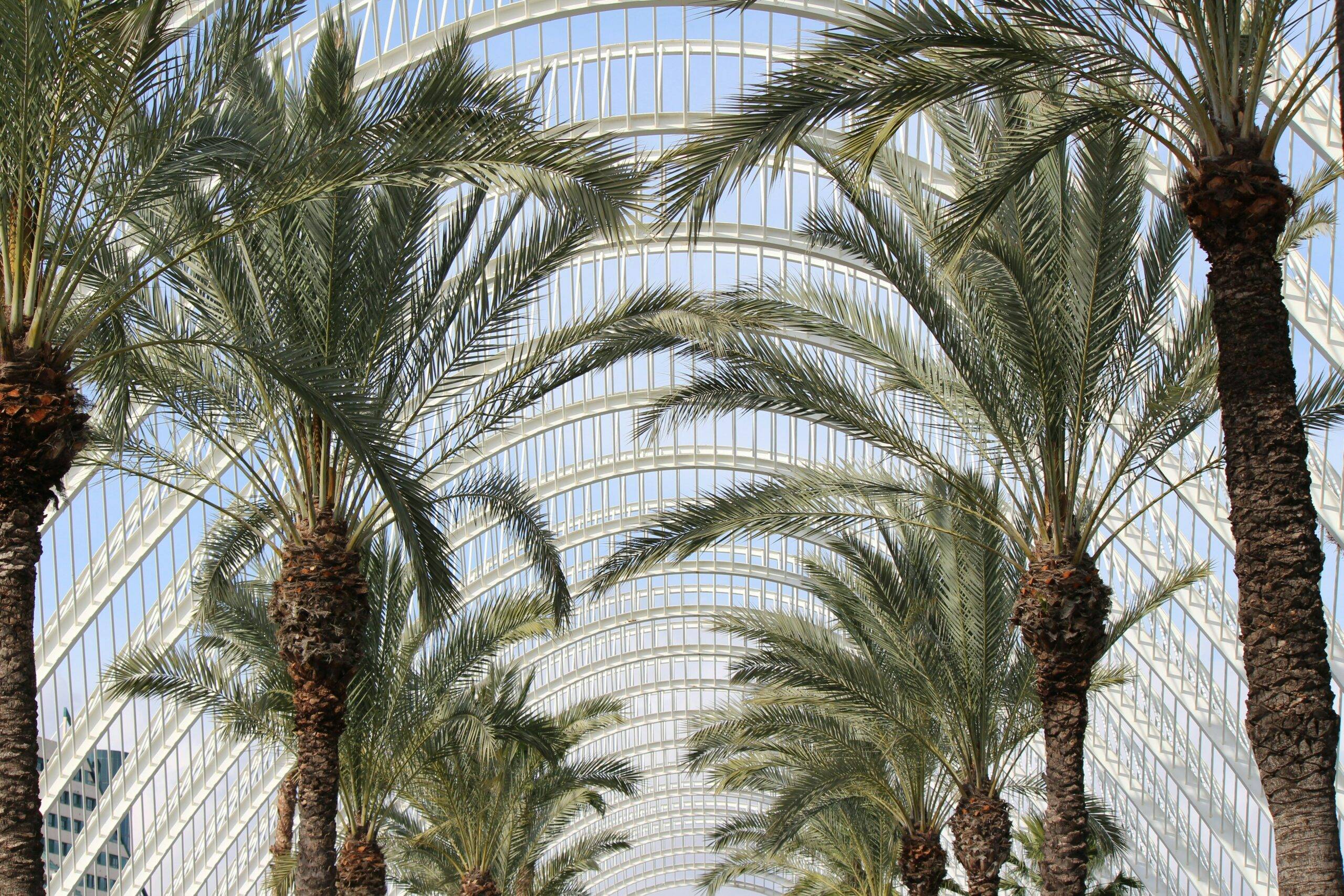 Les meilleurs quartiers pour étudiants à Valence | Terreta Spain